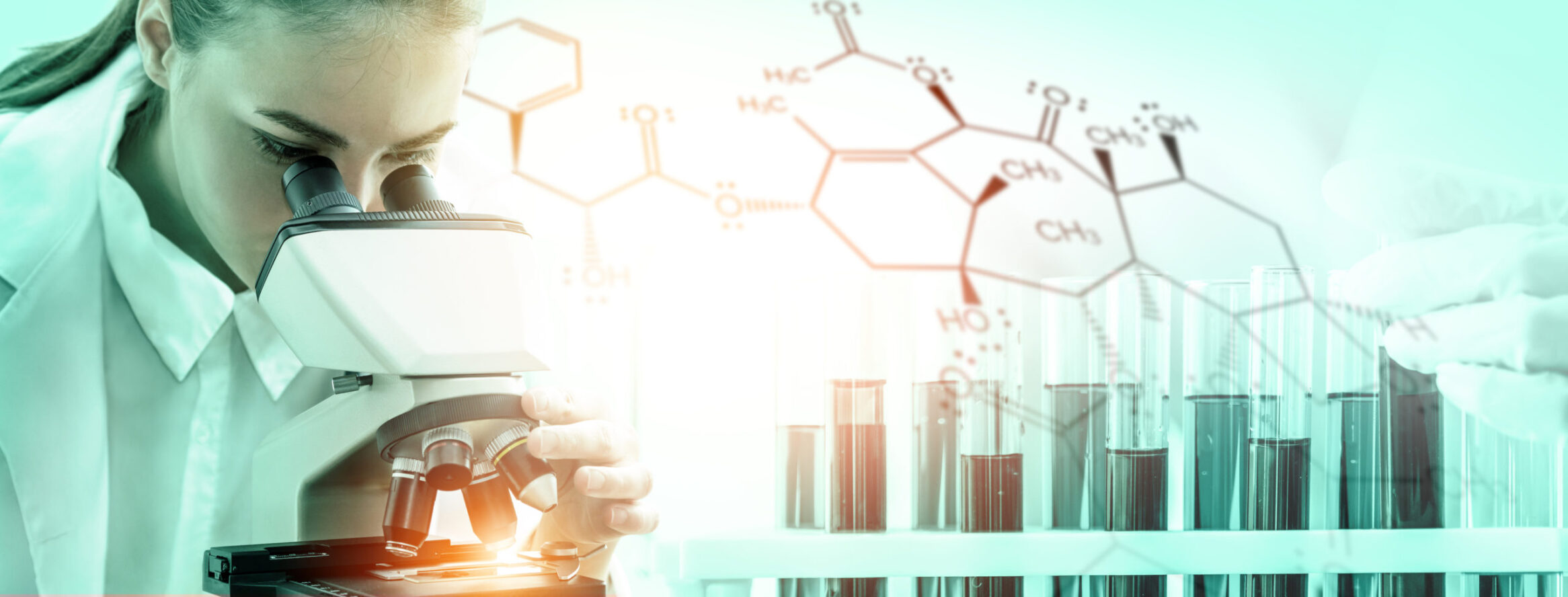Double Patenting, Double Trouble: Continuations, Terminal Disclaimers ...